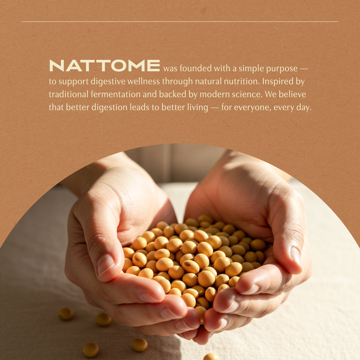 DH Digestive Health Tub 500g